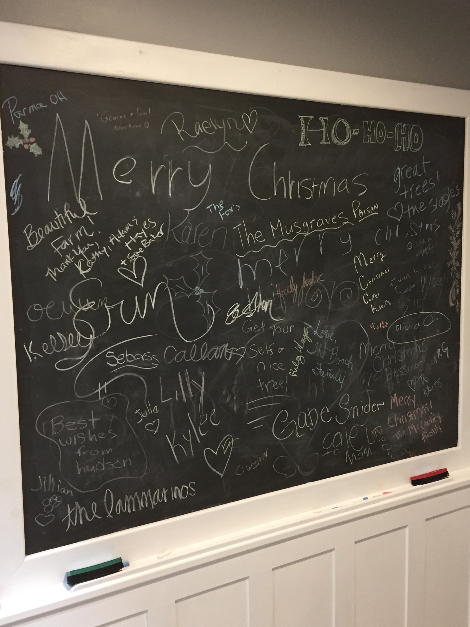 River Run Tree Farm – Choose and cut your own Christmas Trees!