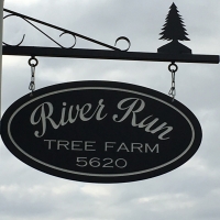 River Run Tree Farm – Choose and cut your own Christmas Trees!