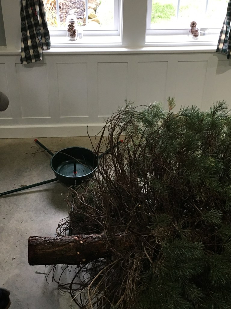 Getting Ready to Open – River Run Tree Farm