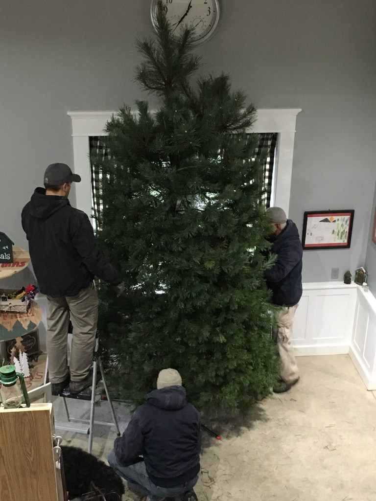 Getting Ready to Open – River Run Tree Farm